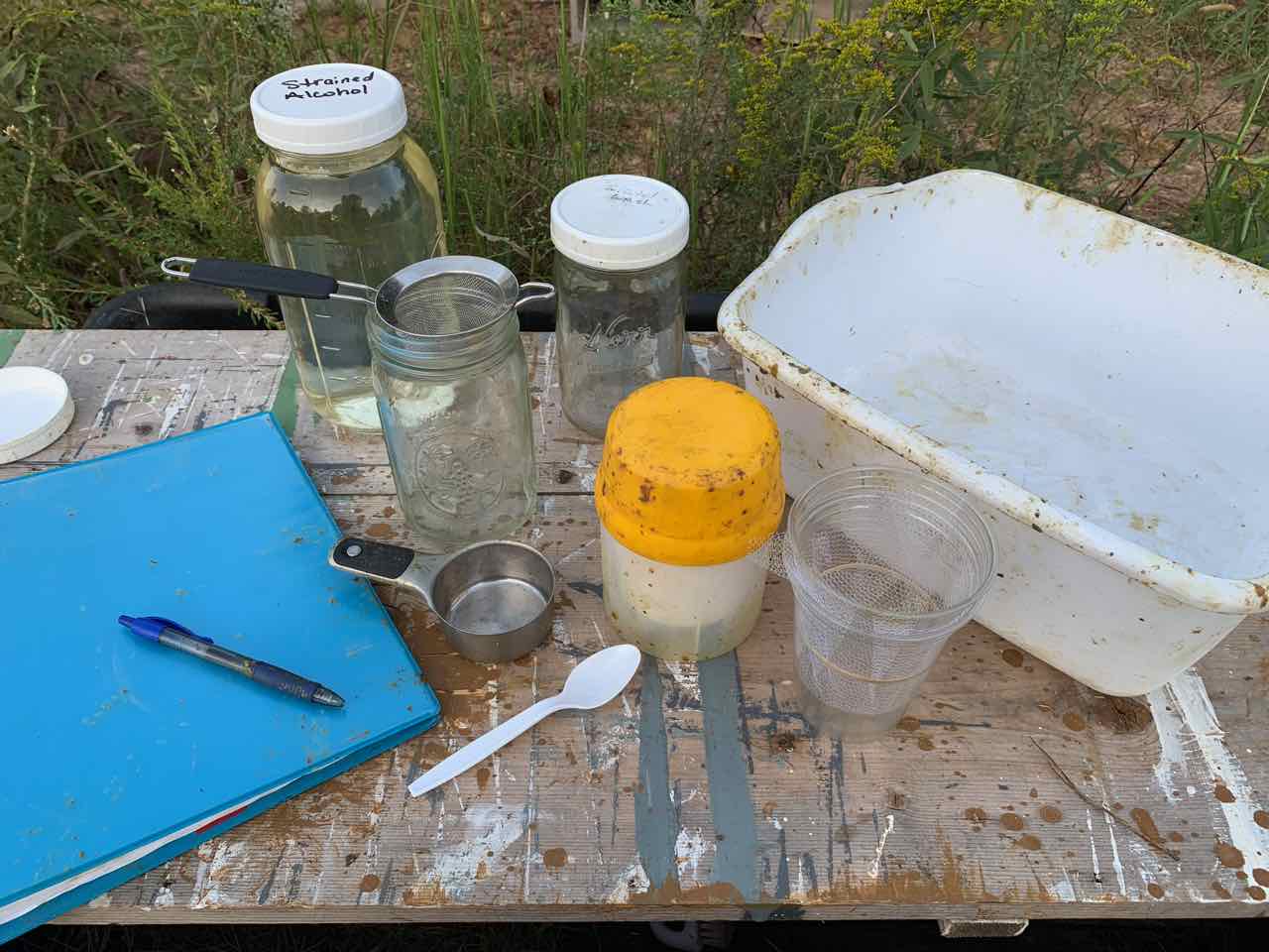 Conduct an Alcohol Wash for Varroa Mite Monitoring - Backyard Beekeeping